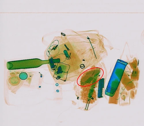 Free TSA Practice Test: English and X-Ray Sample Questions