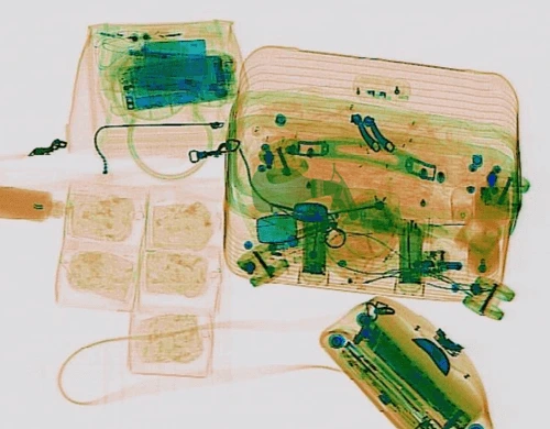 Free TSA Practice Test: English and X-Ray Sample Questions